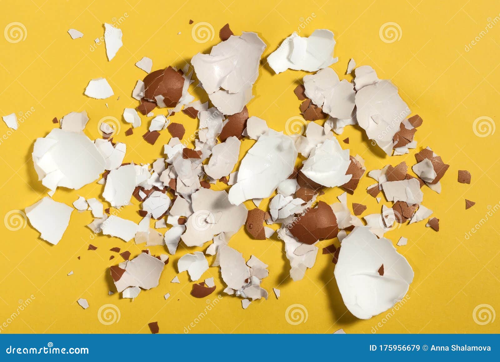 Egg Shells of Different Sizes Scattered on a Bright Yellow Background ...