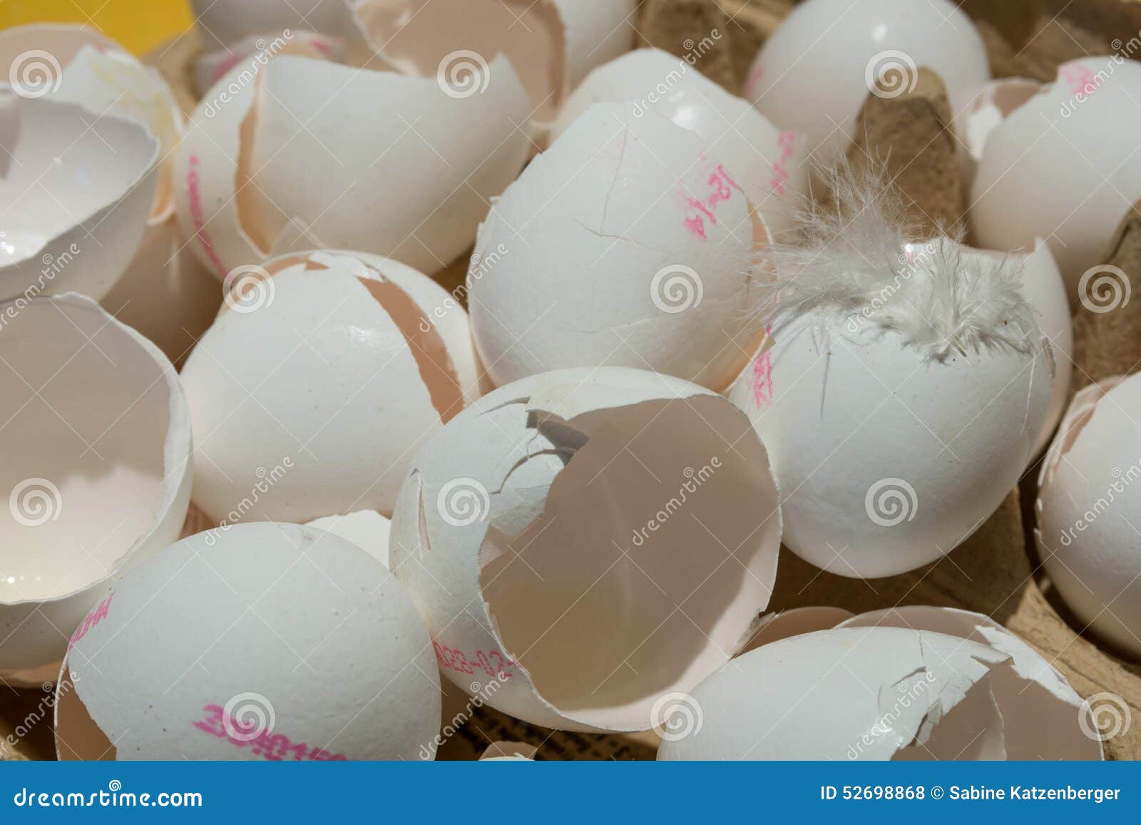 Egg shells stock photo. Image of background, group, shells - 52698868