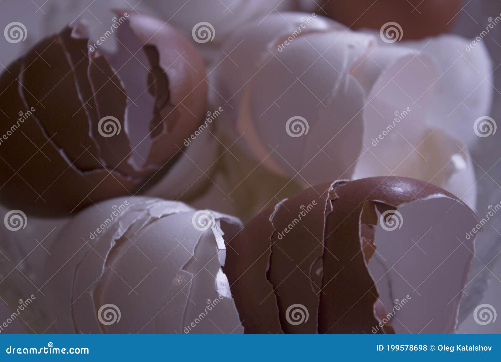 Egg Shells in a Glass Plate. Broken Empty Shell without the Innards ...