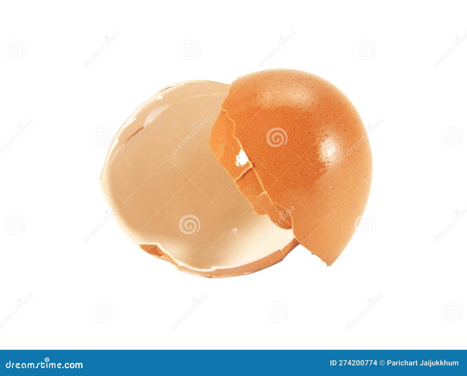 Egg Shells Isolated on White Background Stock Photo - Image of closeup ...