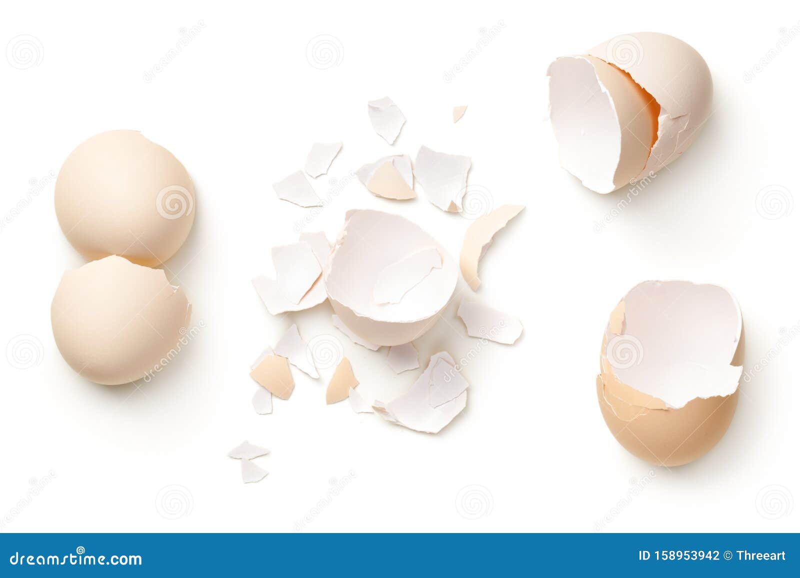 Egg Shells on White Background Stock Photo - Image of closeup, eggs ...