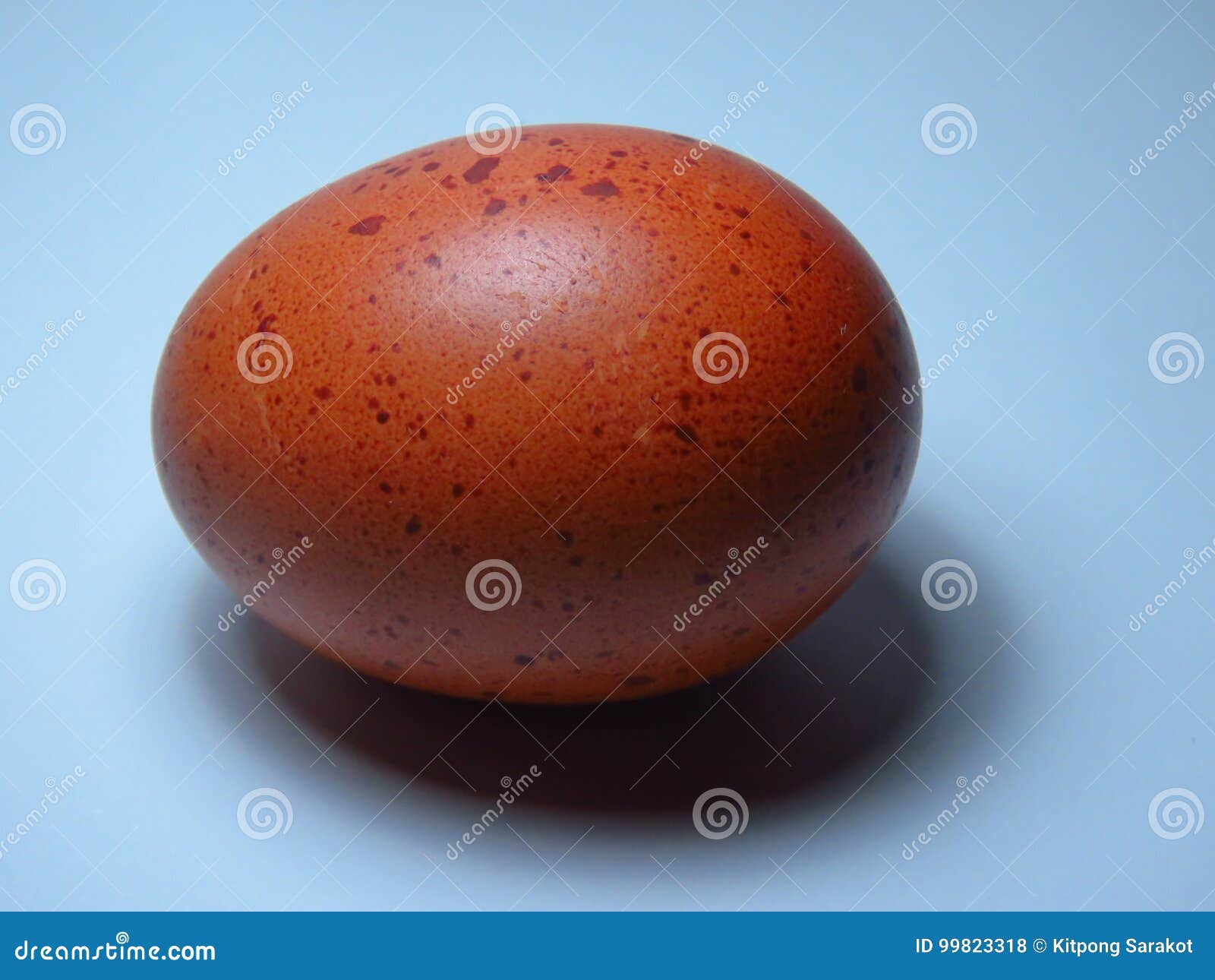 Egg Single Egg Horizontally on a White Background. Stock Photo - Image ...