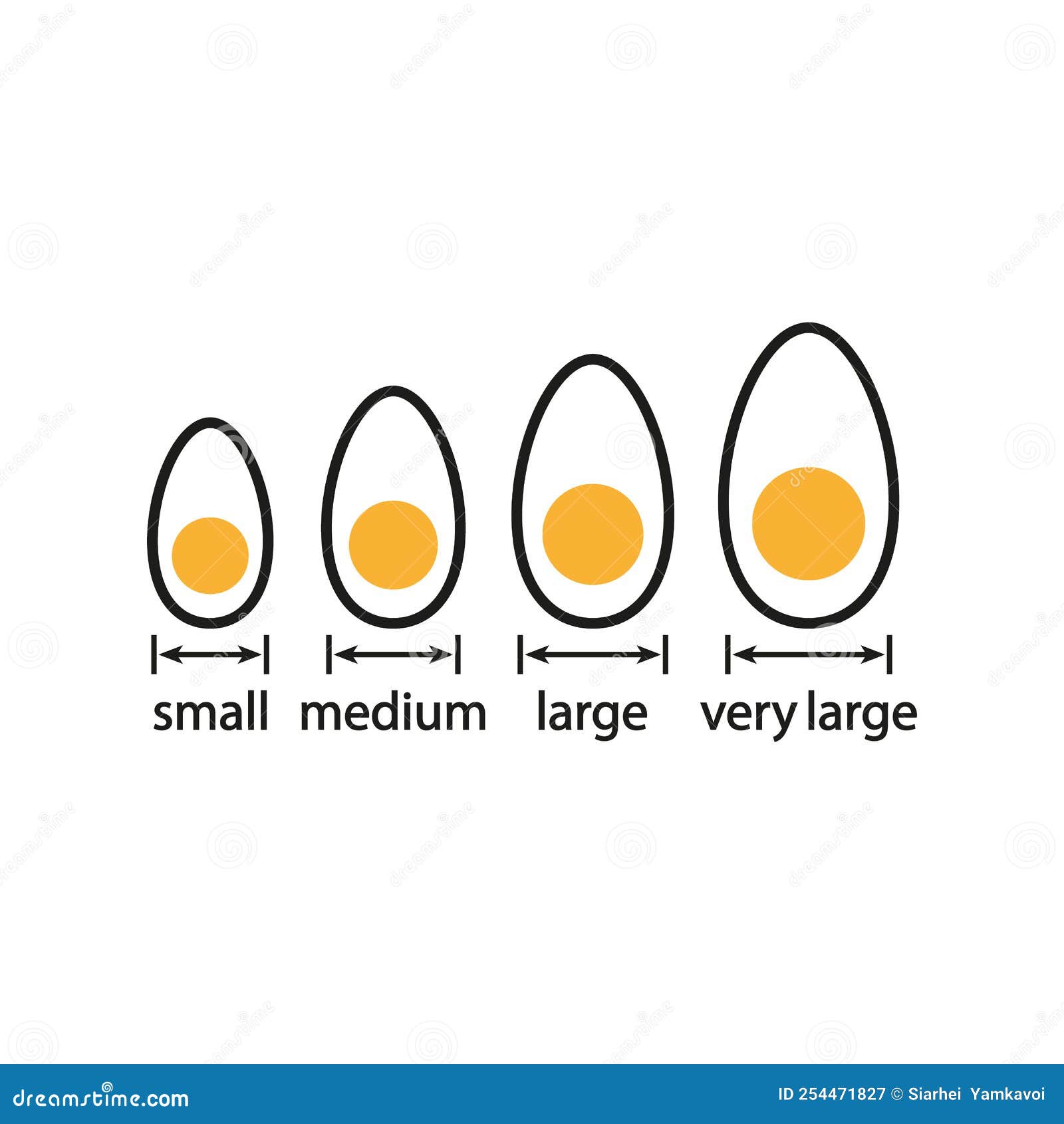 Egg Sizes. Set of Vector Illustrations with Arrows and Eggs Stock ...