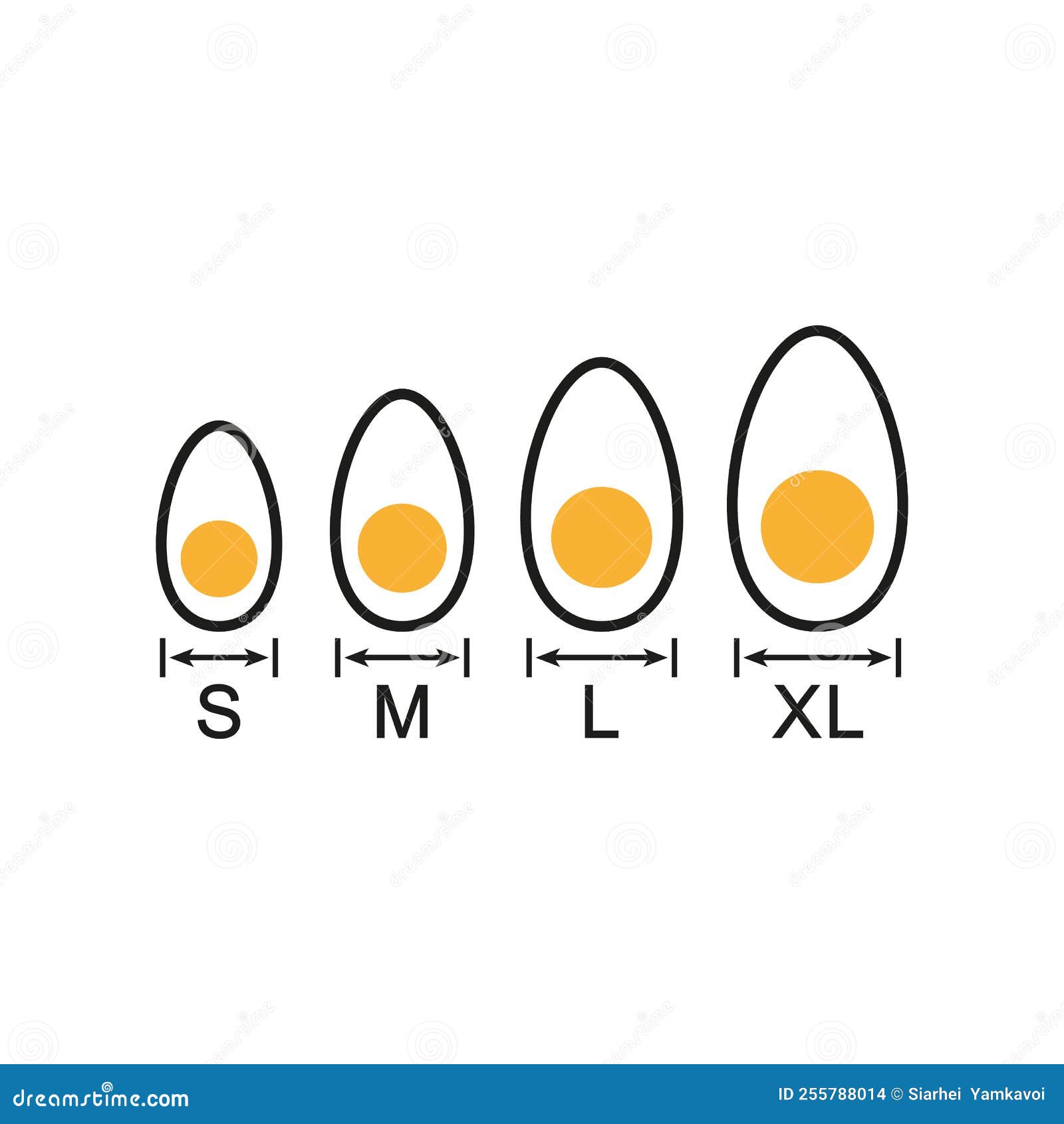 Egg Sizes. Set of Vector Illustrations with Arrows and Eggs Stock ...