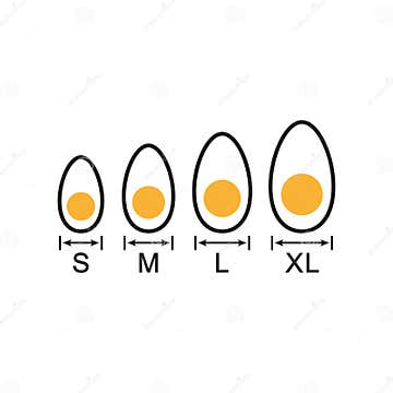 Egg Sizes. Set of Vector Illustrations with Arrows and Eggs Stock ...
