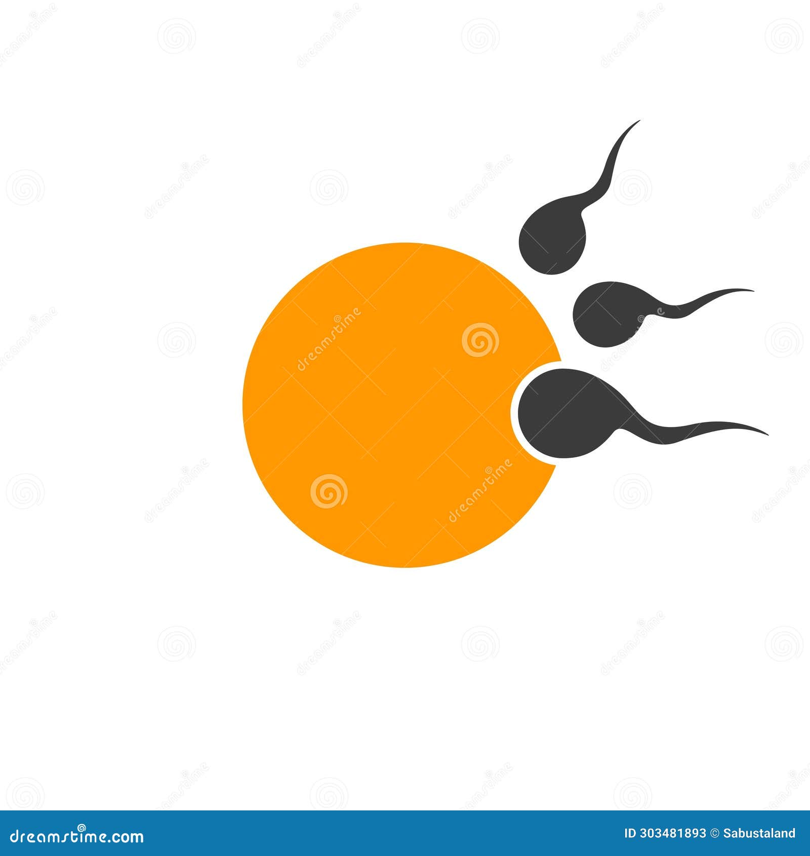 Egg Sperm Cell Fertilization Stock Vector - Illustration of health ...