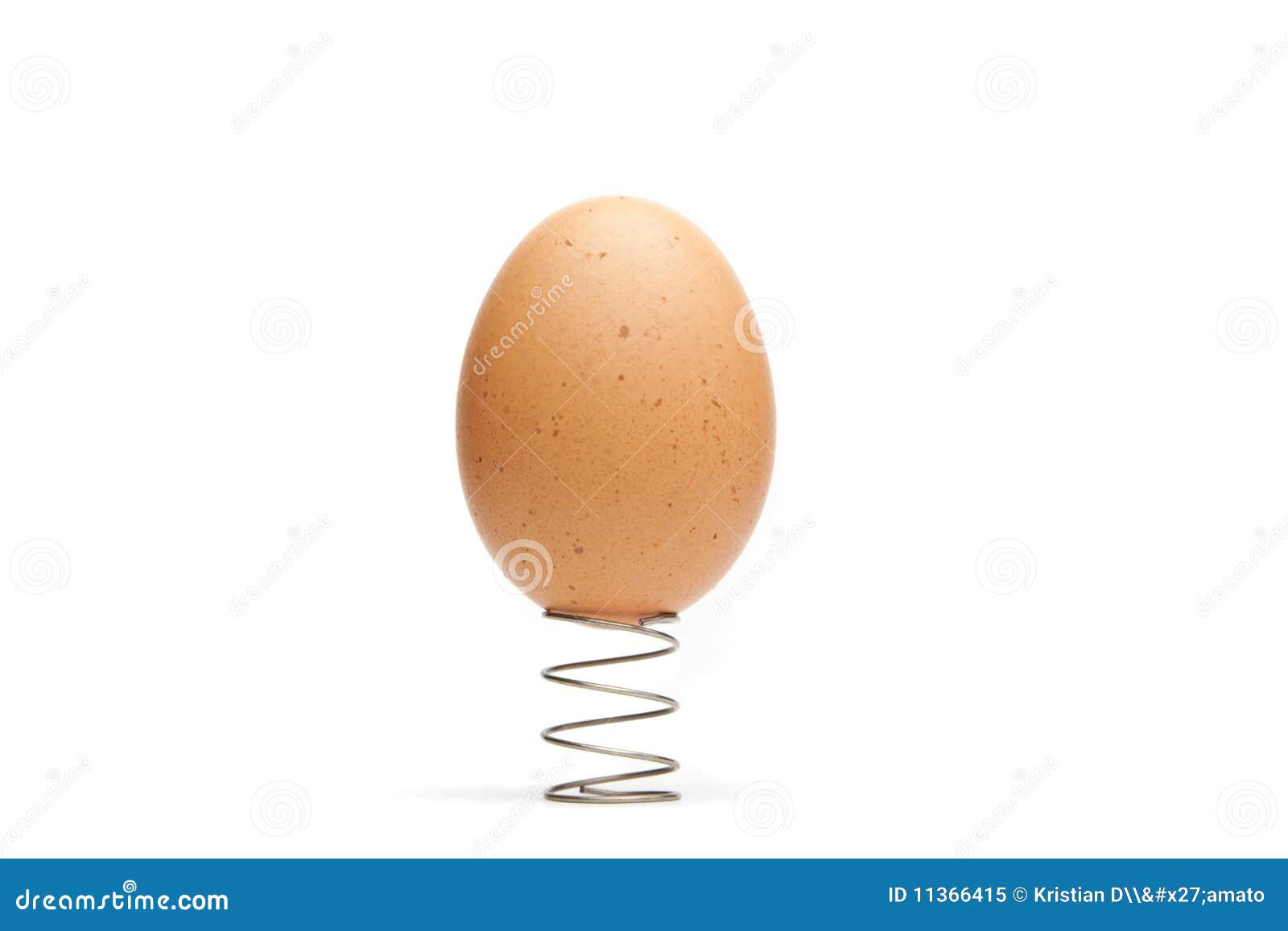 Egg on a Spring stock image. Image of products, food - 11366415
