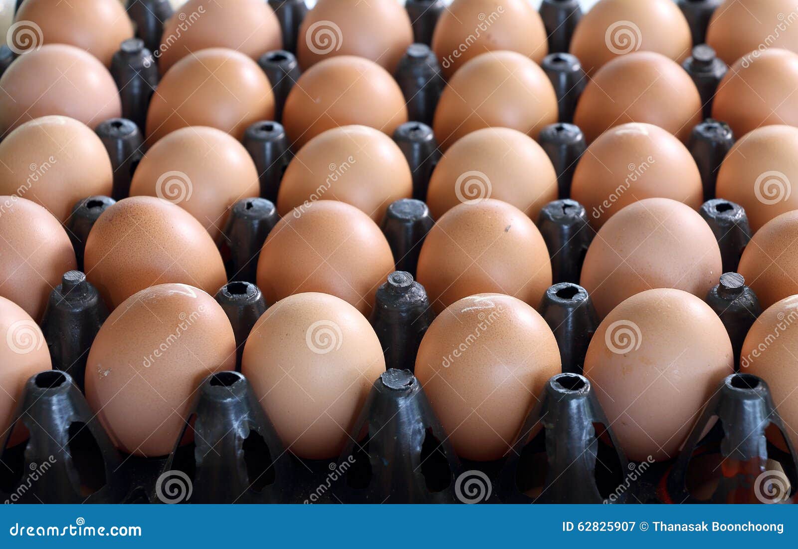 Egg in stack of eggs stock image. Image of agriculture - 62825907