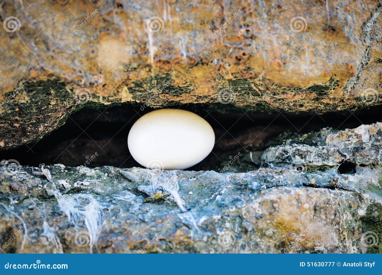 Egg between of stones stock image. Image of dairy, nutritious - 51630777