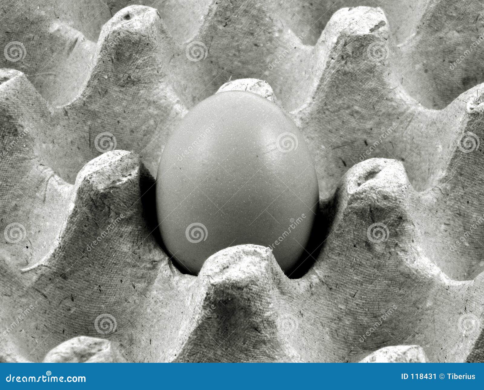 Egg Support stock image. Image of pack, support, attention - 118431