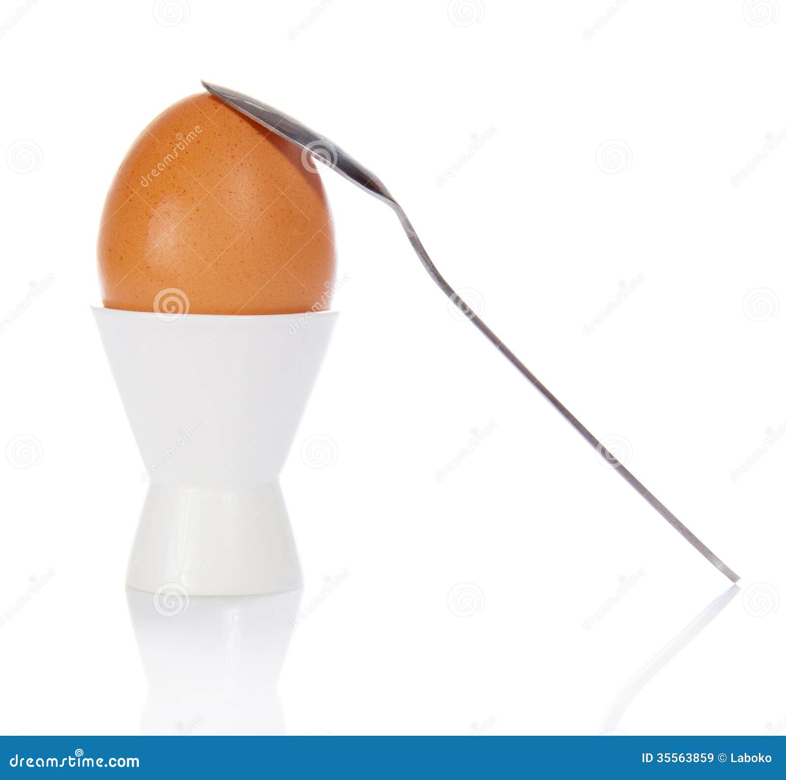 Egg in a support stock image. Image of boiled, foodstuff - 35563859