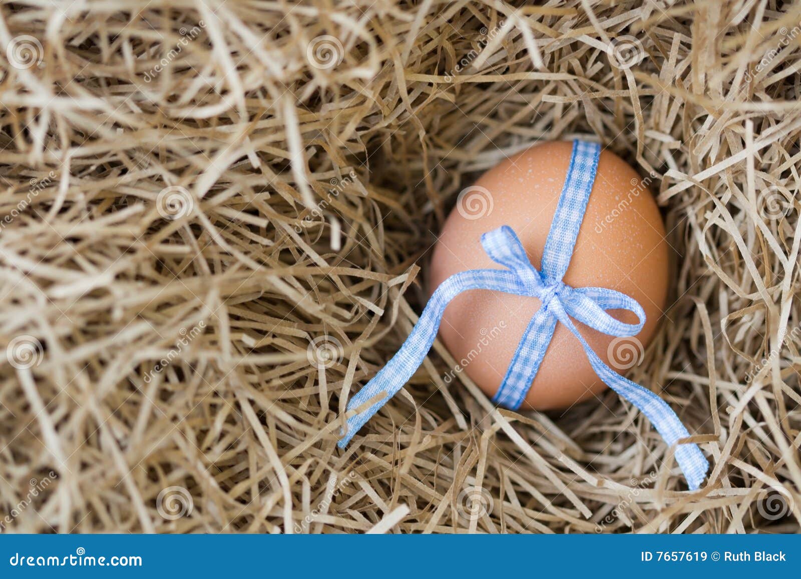 Egg tied with ribbon stock image. Image of natural, food - 7657619
