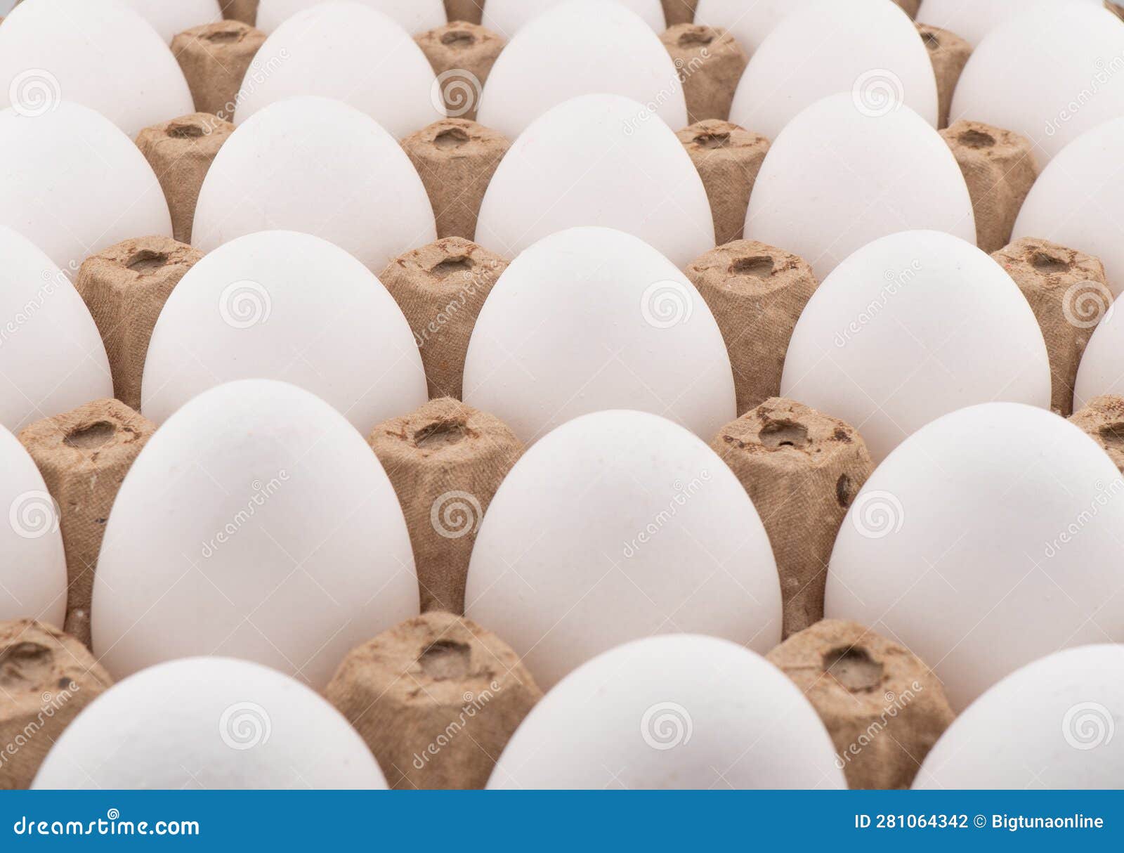 Egg Tray with Fresh White Eggs Texture Background. Fresh Organic ...