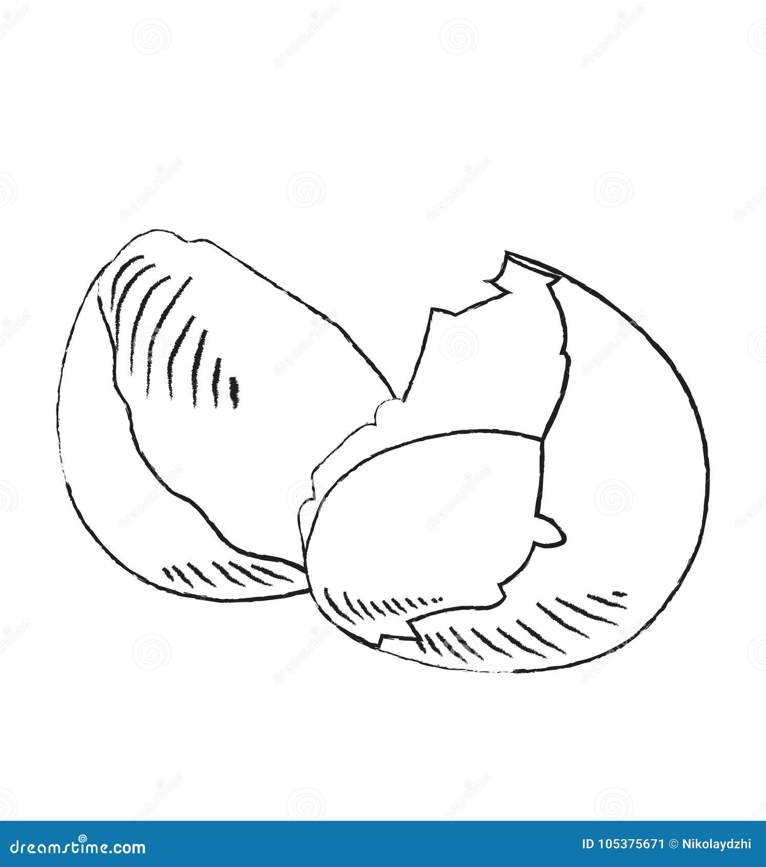 Egg Vector Icon Isolated Sketch Pictogram Broken Egg and Shells Stock ...
