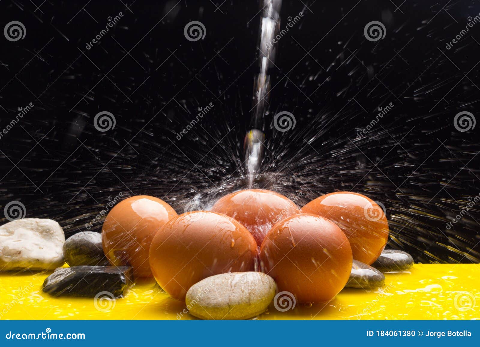 Egg washing, fresh eggs stock photo. Image of chick - 184061380
