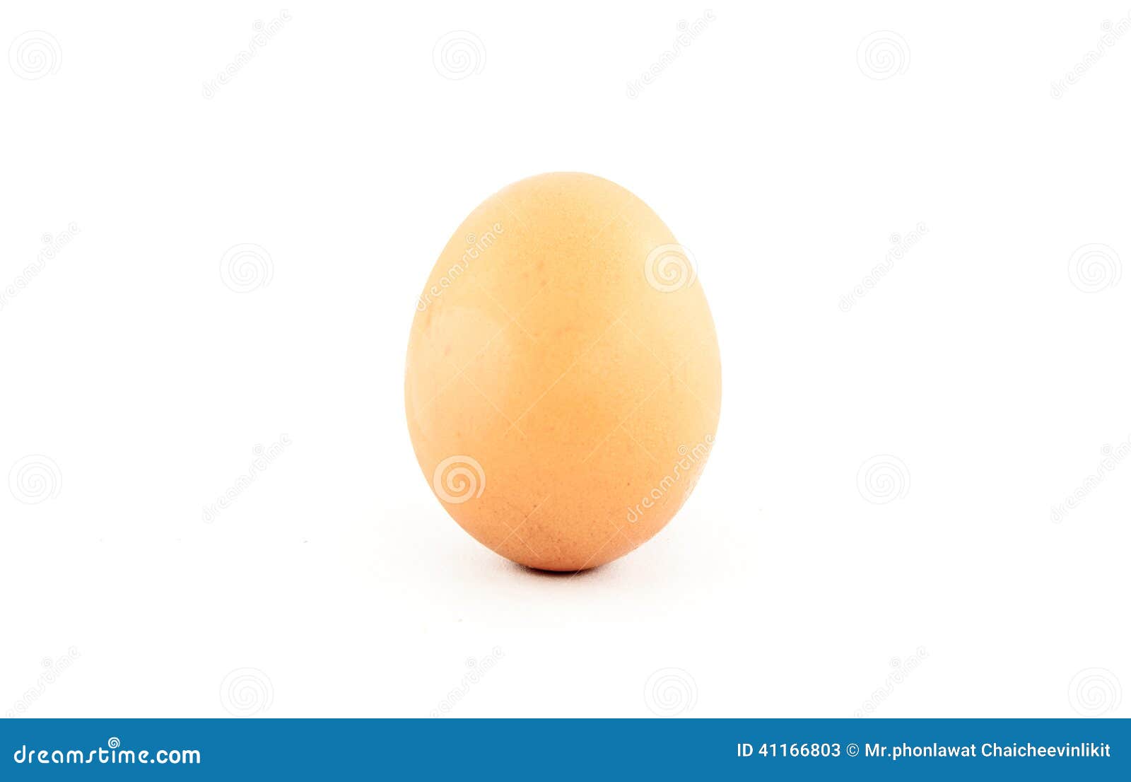 Egg on white background. stock image. Image of easter - 41166803
