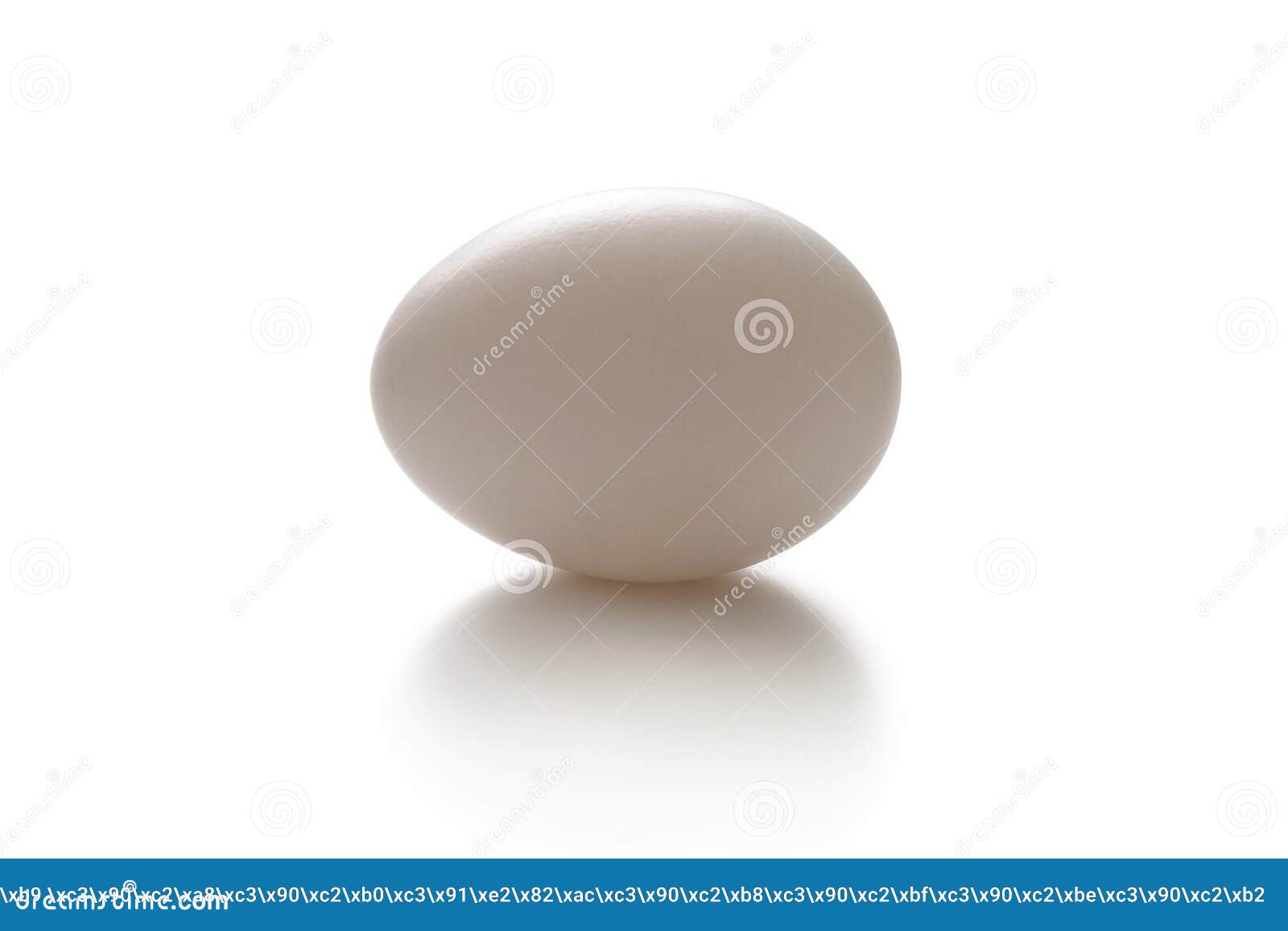 Egg with White Shell on White Background Stock Photo - Image of food ...