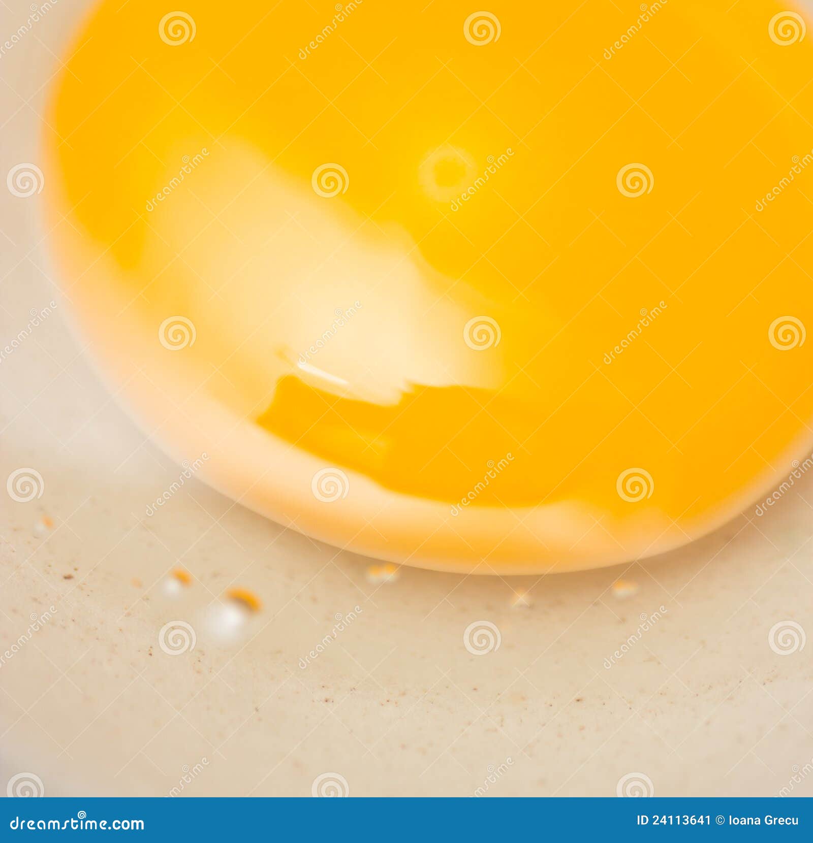 Egg yolk stock image. Image of organic, food, close, protein - 24113641