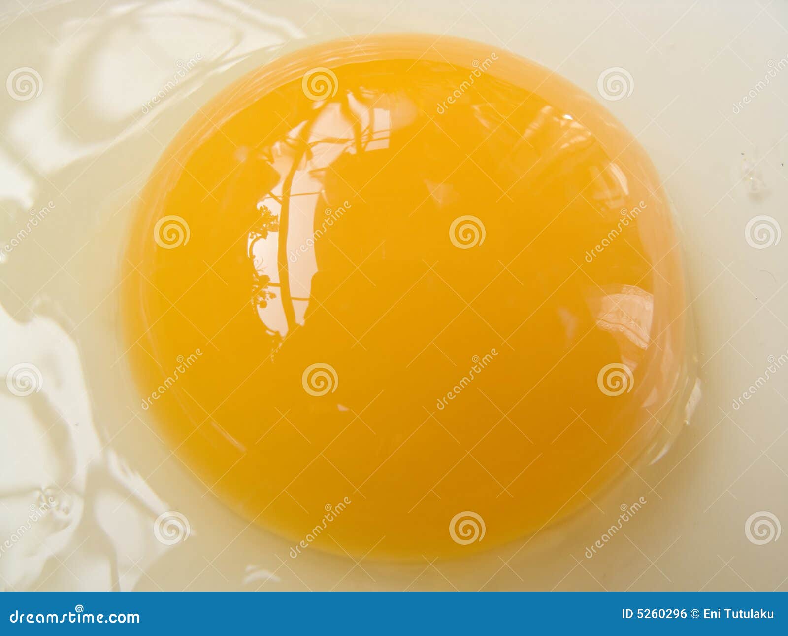 Egg Yolk Picture. Image: 5260296