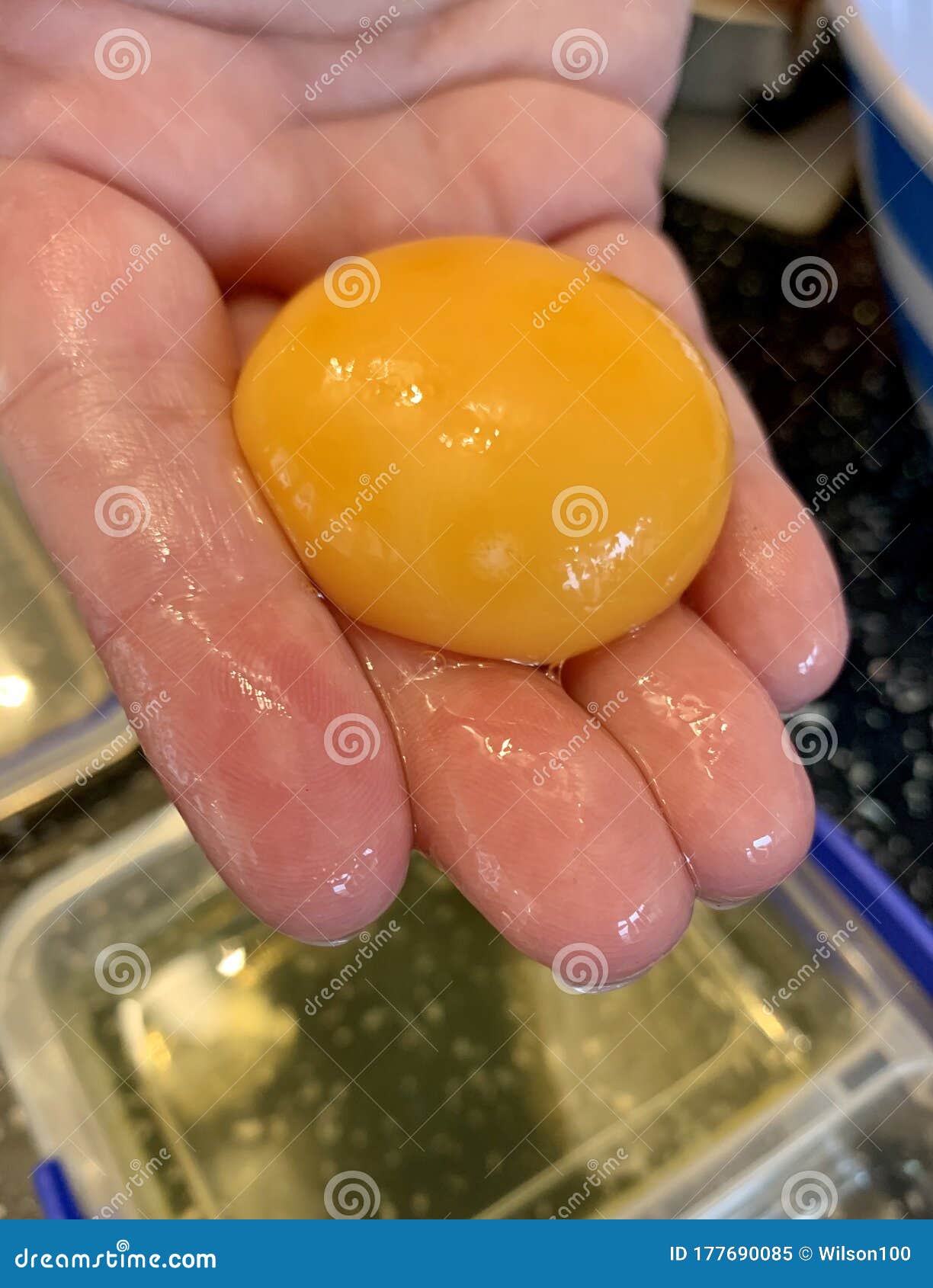 Egg Yolk stock image. Image of slime, cooking, yolk - 177690085