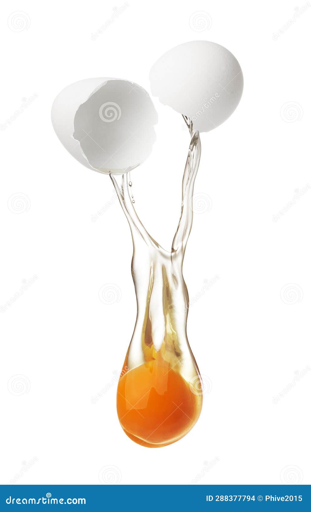 Egg Yolk and White Dropping Out of Cracked Shell Stock Photo - Image of ...