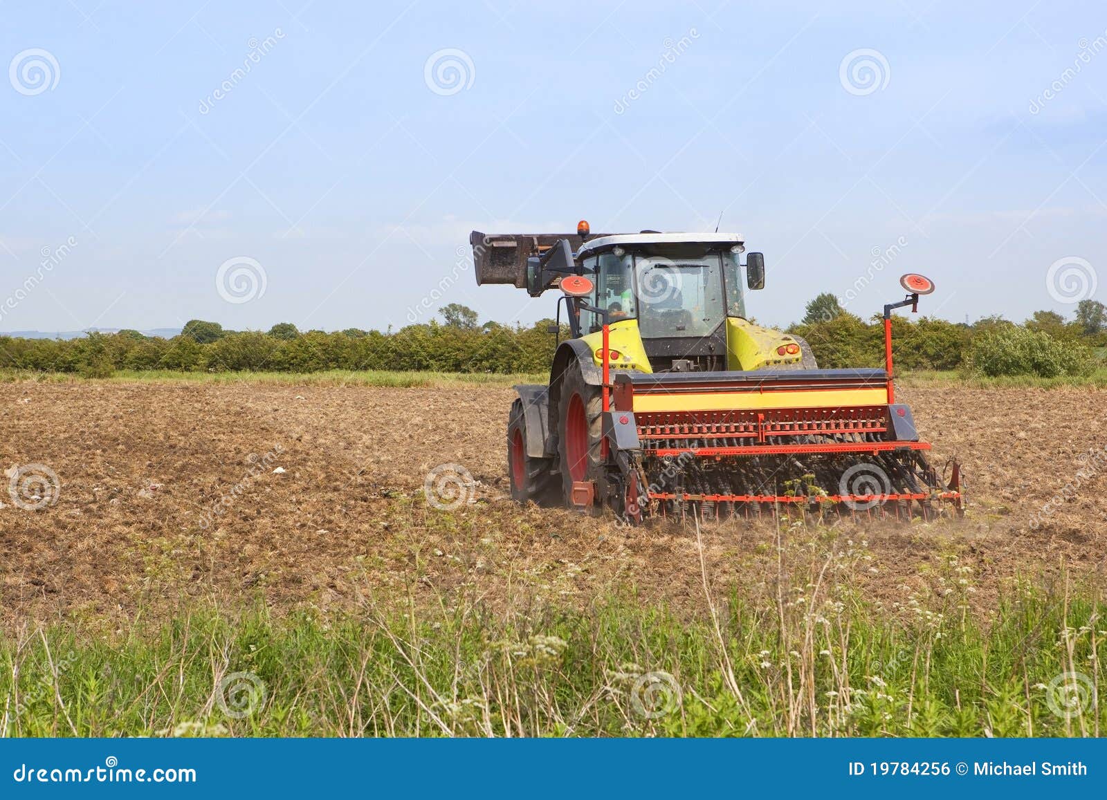 Eggen eines Feldes stockfoto. Bild von bäume, ausbaufähig - 19784256