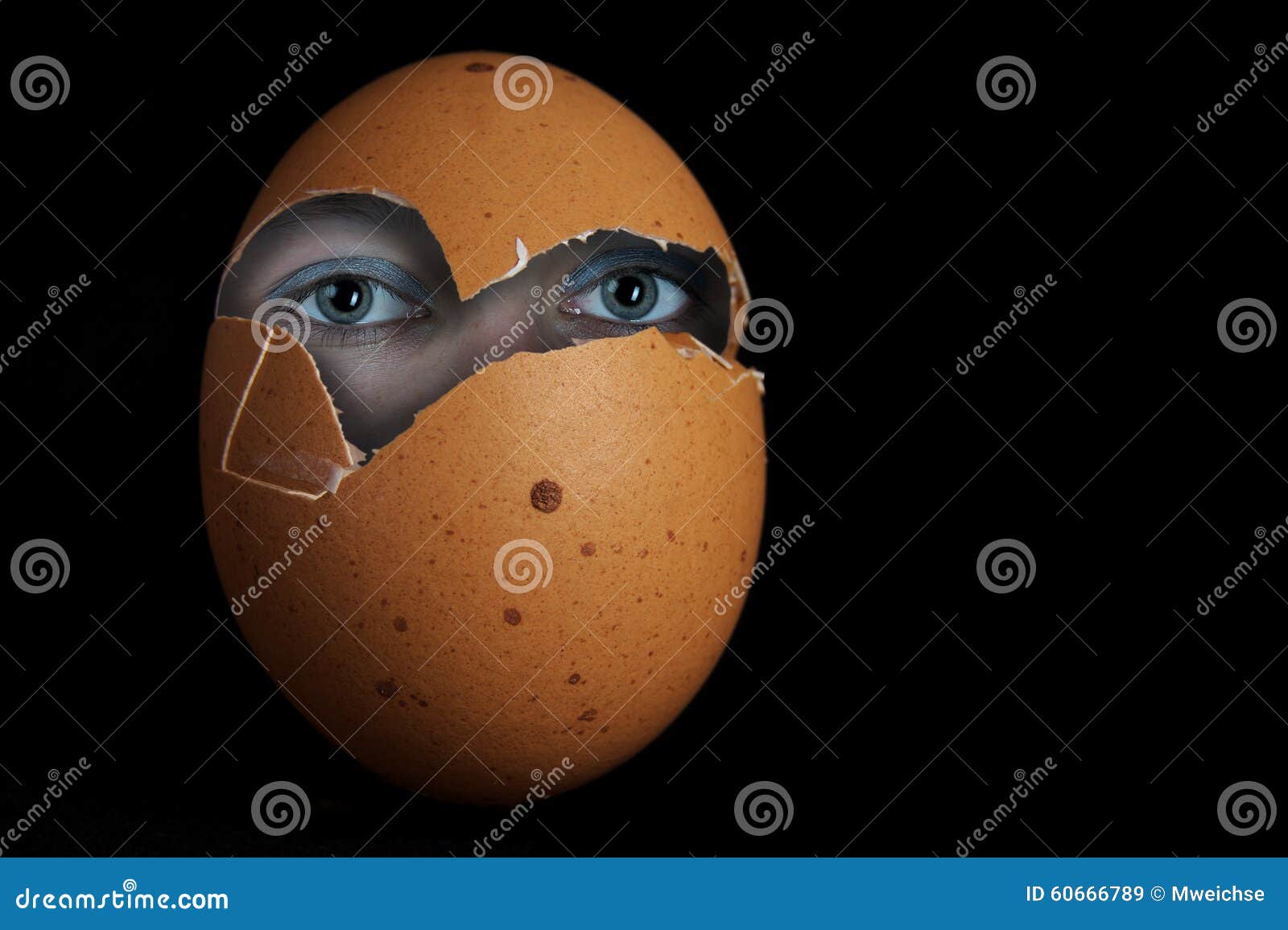 Egghead stock image. Image of egghead, organic, iris - 60666789