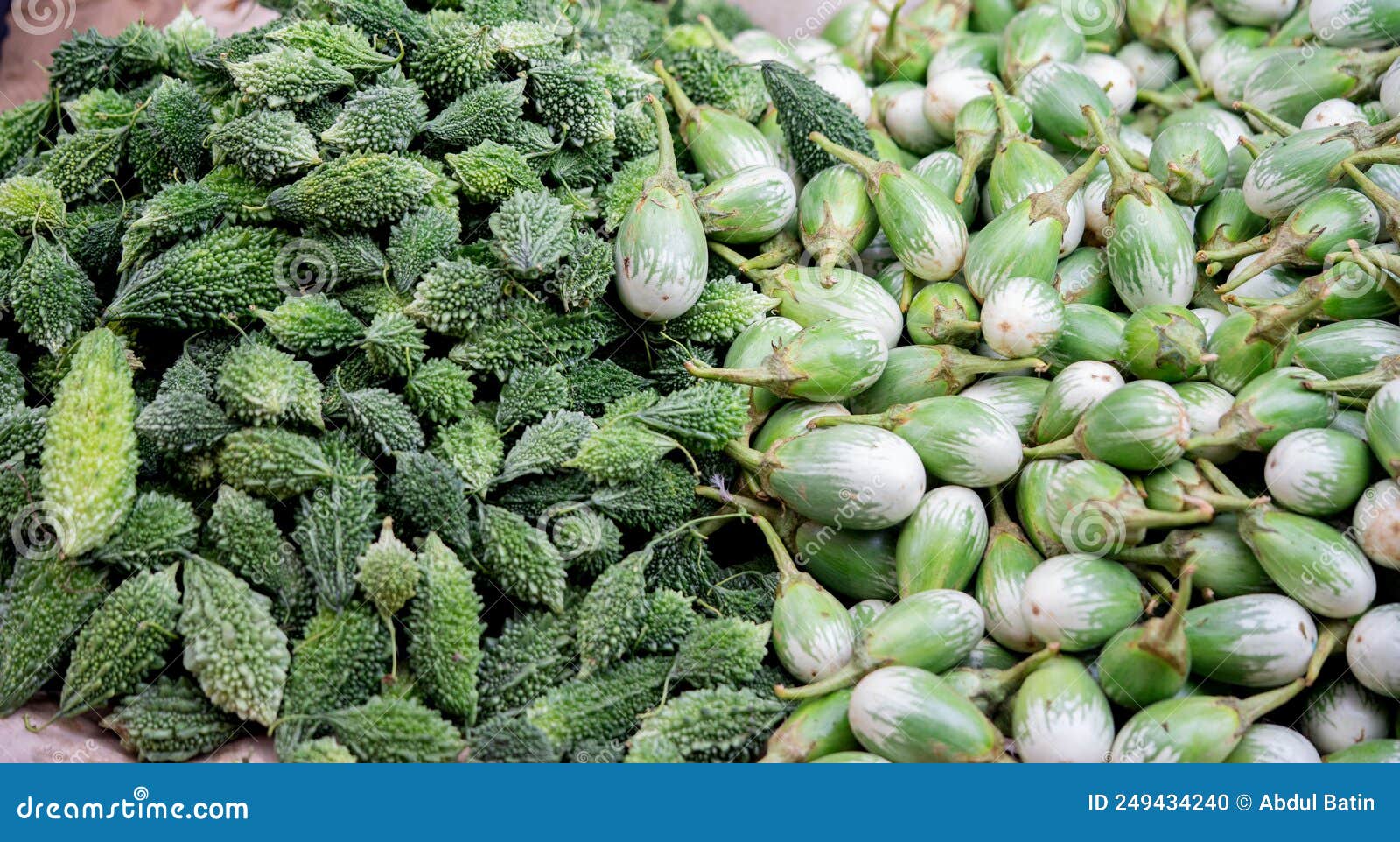 Eggplant and Corolla Vegetables Stock Photo - Image of plant, crop ...