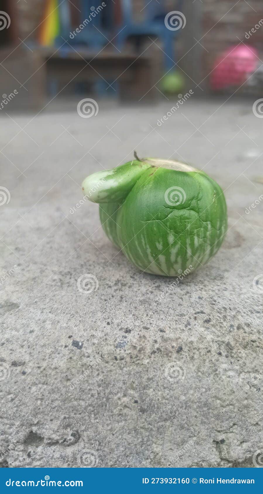 Eggplant with a Very Unique Shape Stock Photo - Image of unique ...