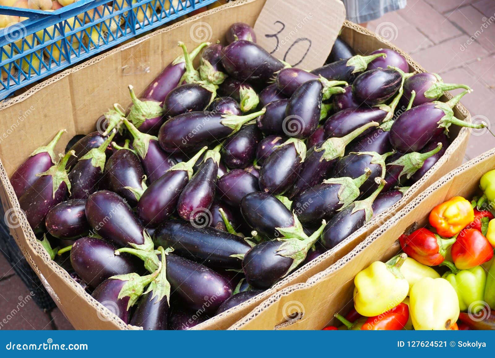 Eggplants in a Box on the Market Stock Image - Image of natural ...