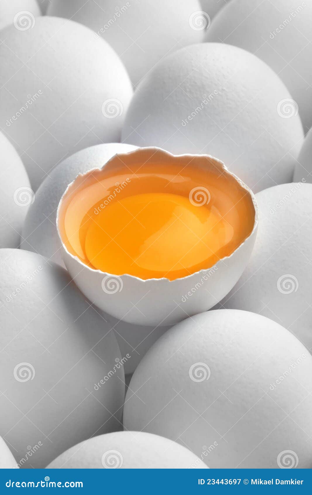 Eggs stock image. Image of freshness, market, easter - 23443697
