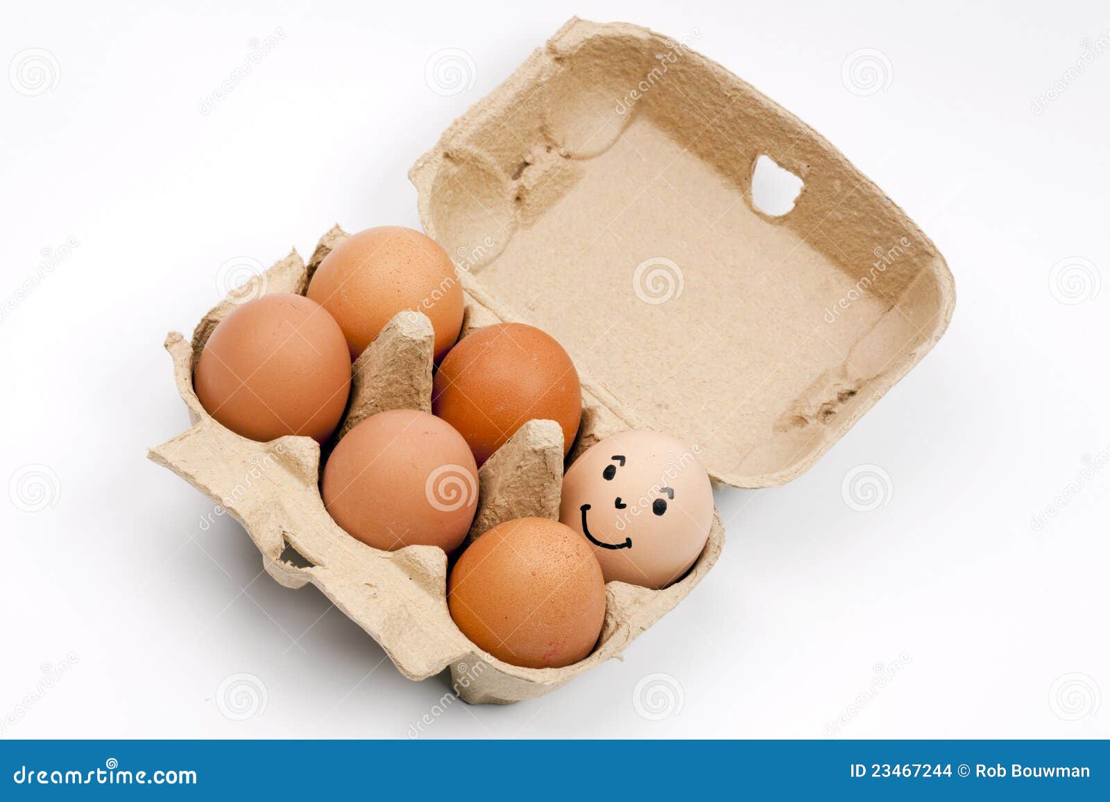 Eggs stock photo. Image of cholesterol, baking, dozen - 23467244