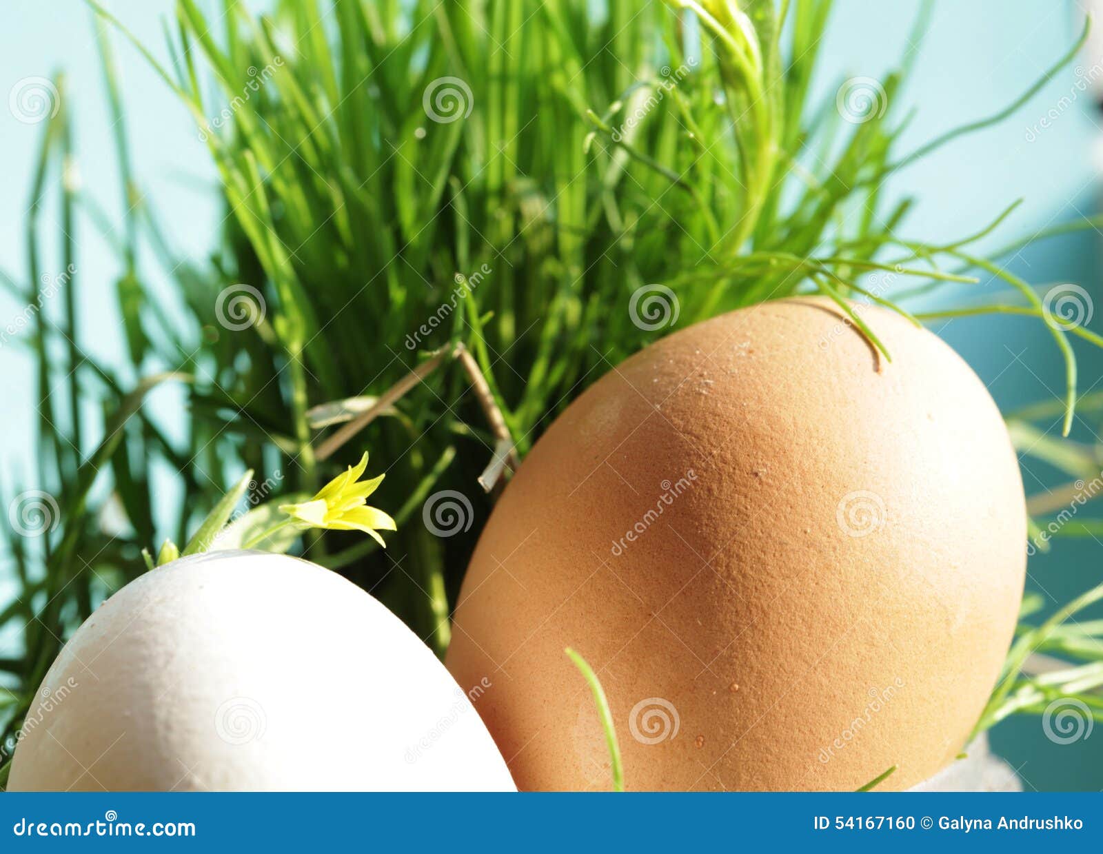 Eggs stock photo. Image of closeup, commodity, easter - 54167160