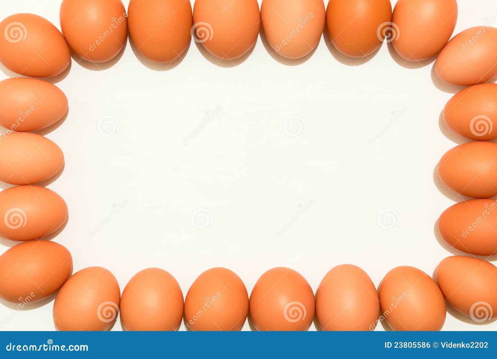 Eggs background stock photo. Image of bird, close, embryo - 23805586