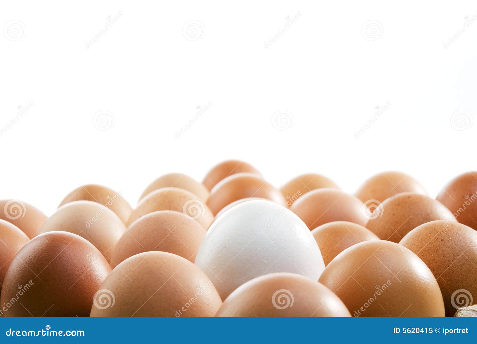 Eggshells Background stock image. Image of eggs, brown - 5620415