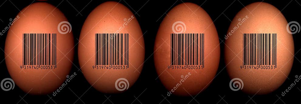 Eggs with barcode stock image. Image of four, chicken - 13633689