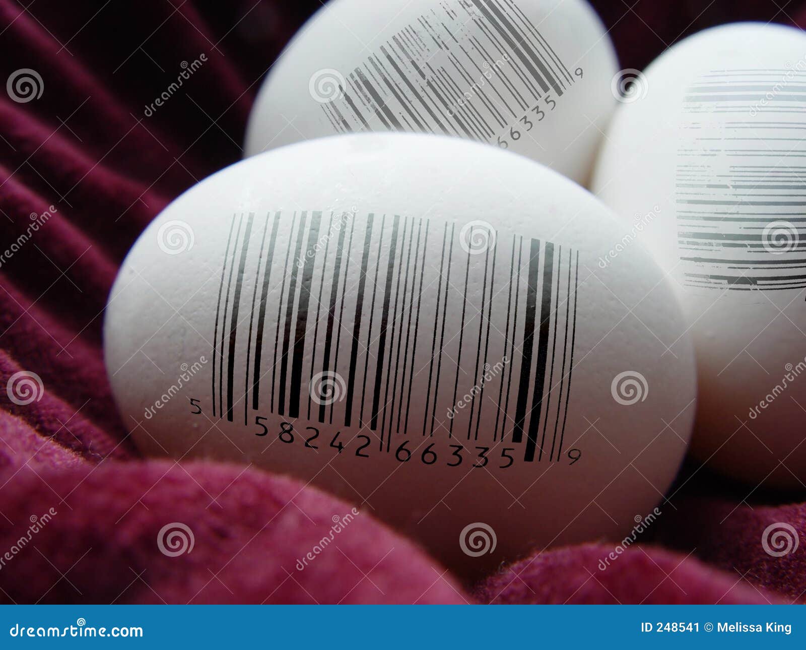 Eggs with Barcodes stock image. Image of eggs, white, barcodes - 248541