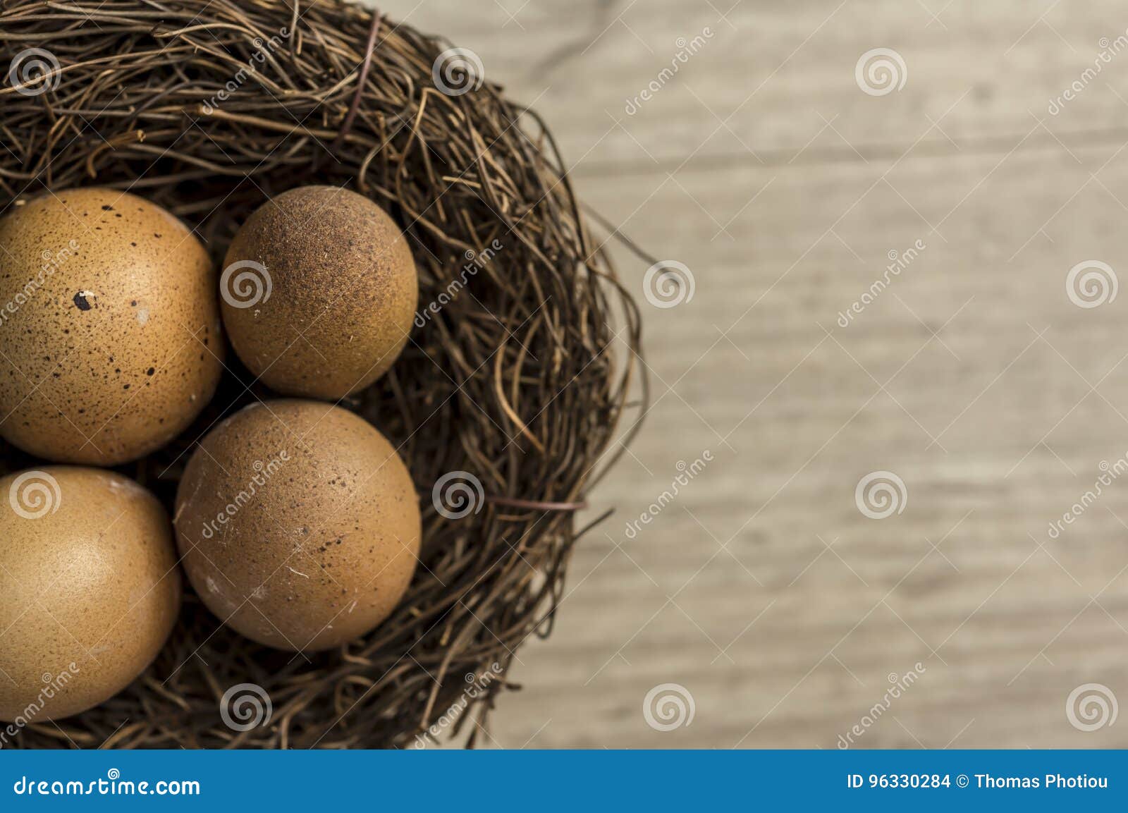 Eggs in bird nest stock photo. Image of fresh, grass - 96330284