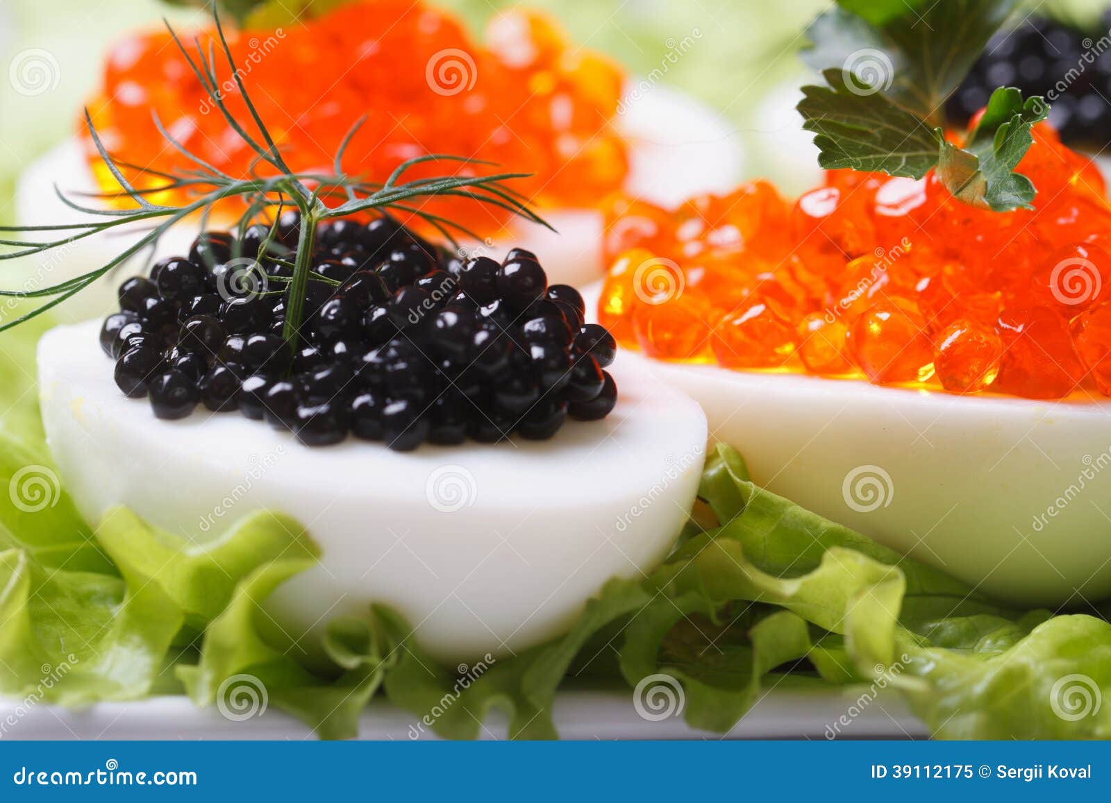 Eggs with Black and Red Fish Caviar and Lettuce Stock Image - Image of ...