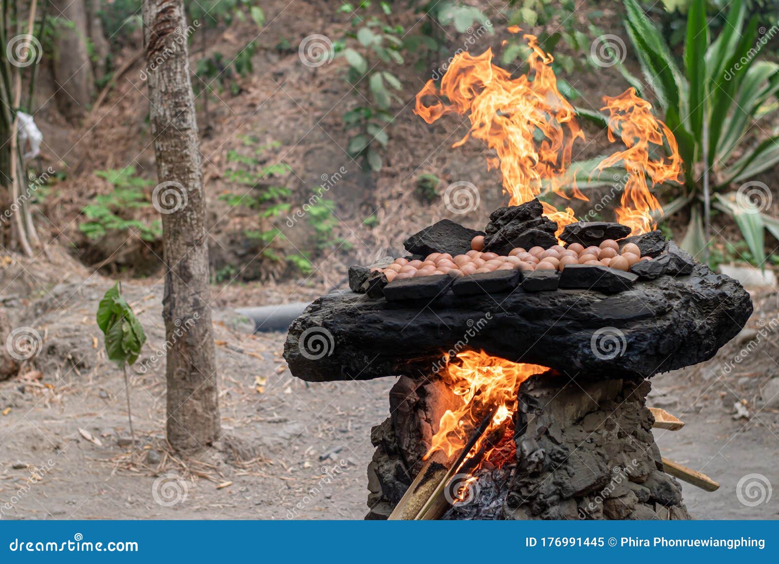 Eggs Boiled on a Large Rock with Fire To Make the Eggs Cook Stock Image ...