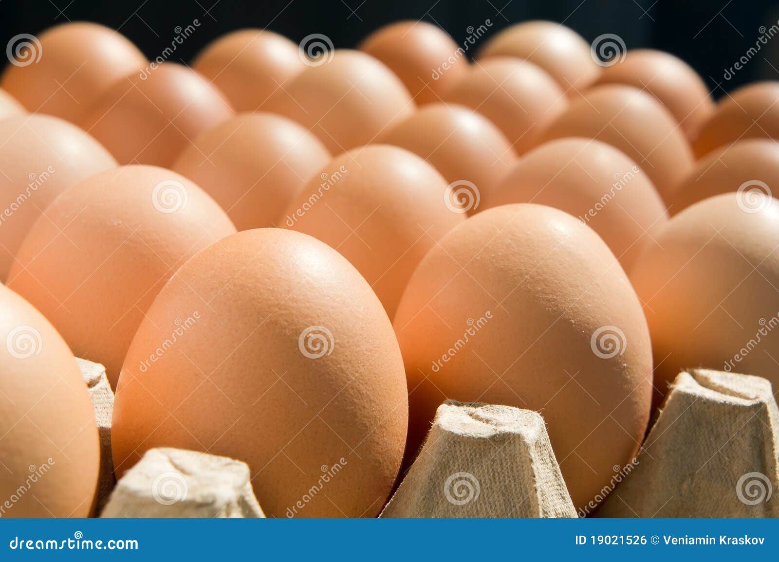 Eggs in a box stock photo. Image of foodstuff, ingredient - 19021526