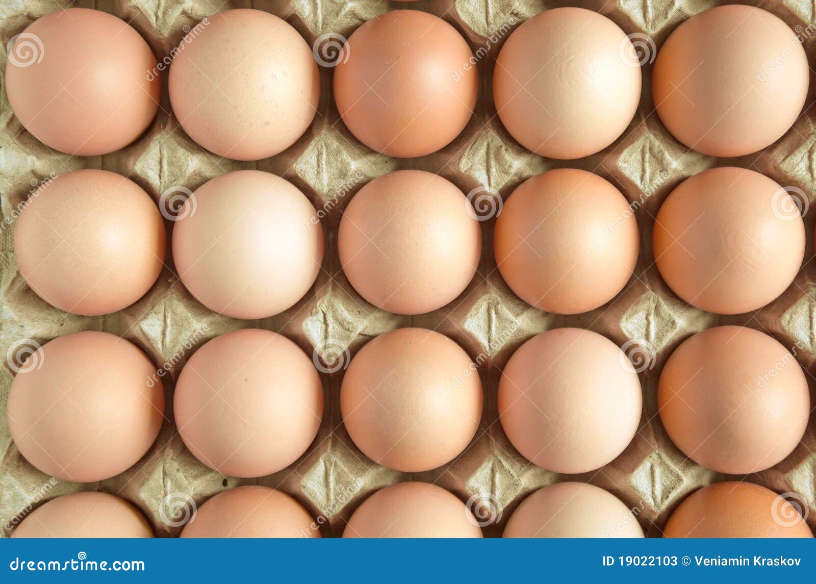 Eggs in a box stock image. Image of farm, bird, ingredient - 19022103