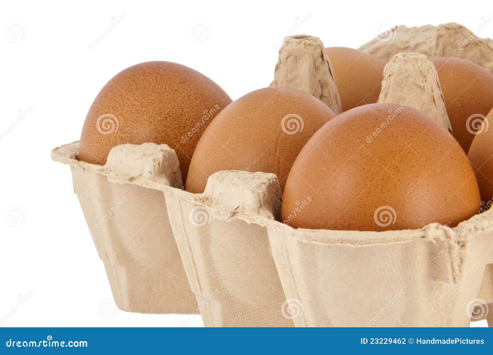 Eggs in a box stock photo. Image of clipping, detail - 23229462
