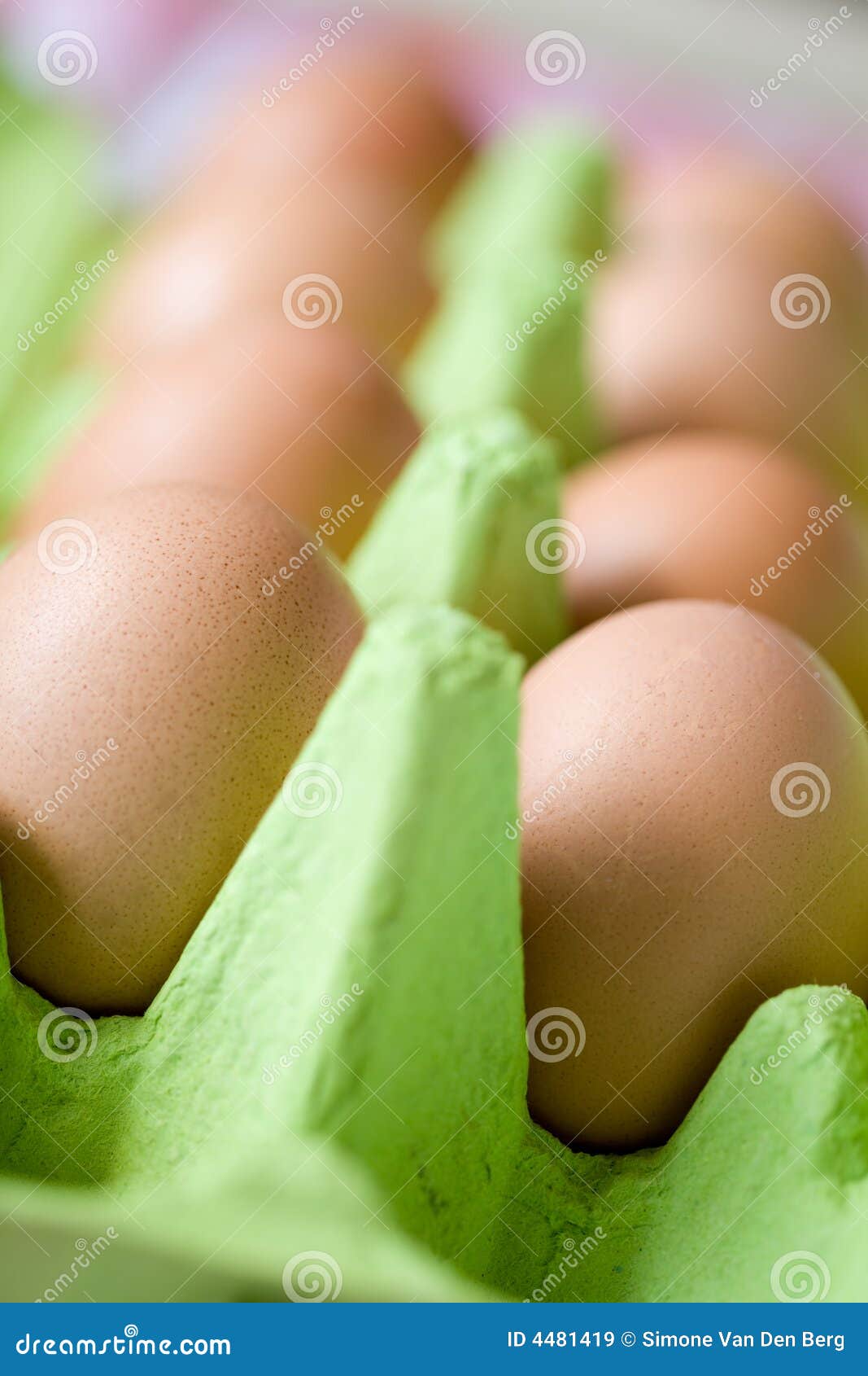 Eggs in a box stock image. Image of eggs, shells, breakfast - 4481419