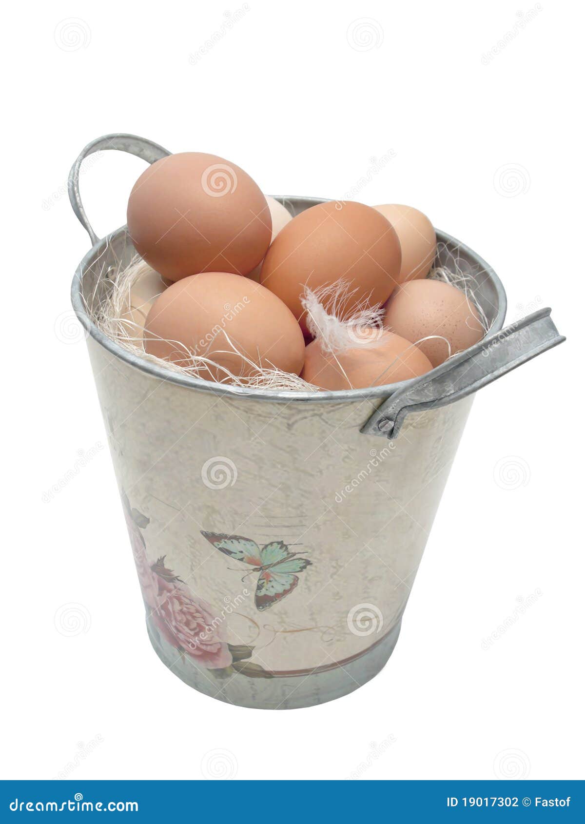 Eggs in a bucket stock photo. Image of feather, white - 19017302