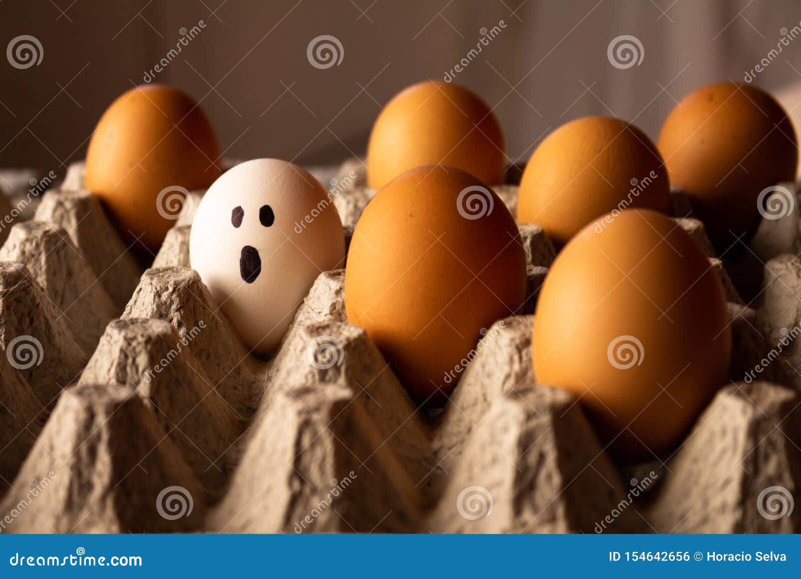 Eggs in a Cardboard Box. Eggs with Funny Faces Painted. Humanized ...