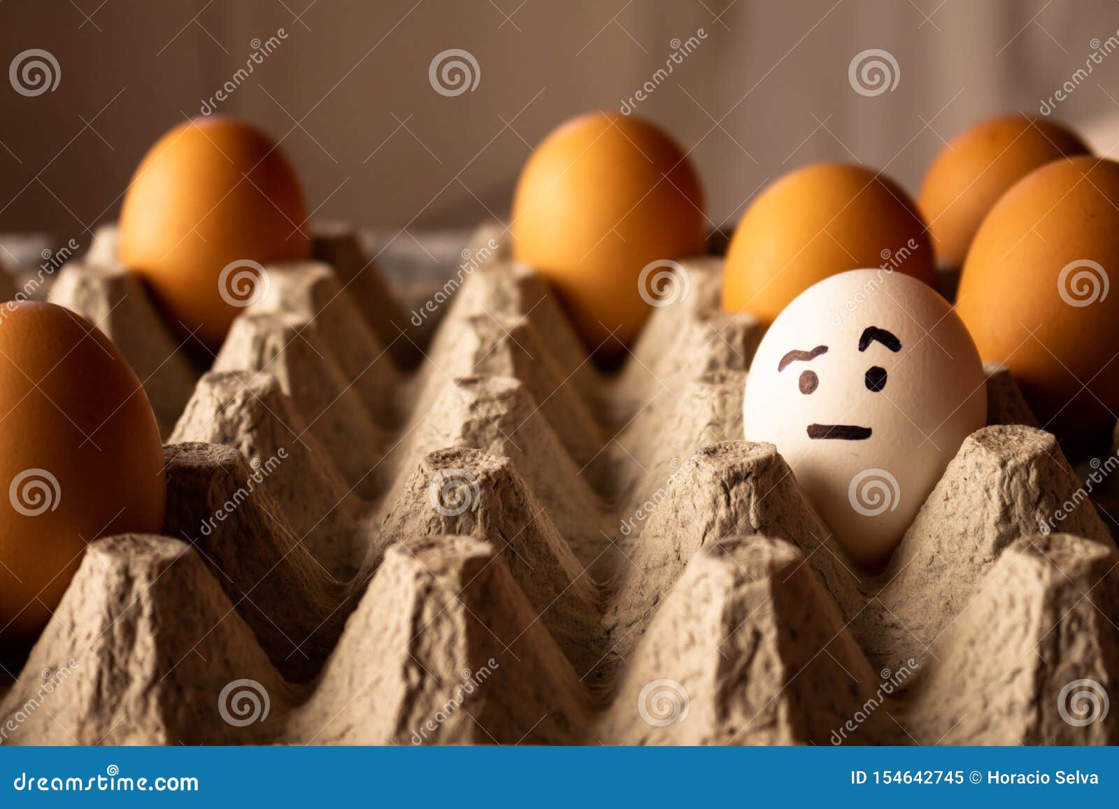 Eggs in a Cardboard Box. Eggs with Funny Faces Painted. Humanized ...