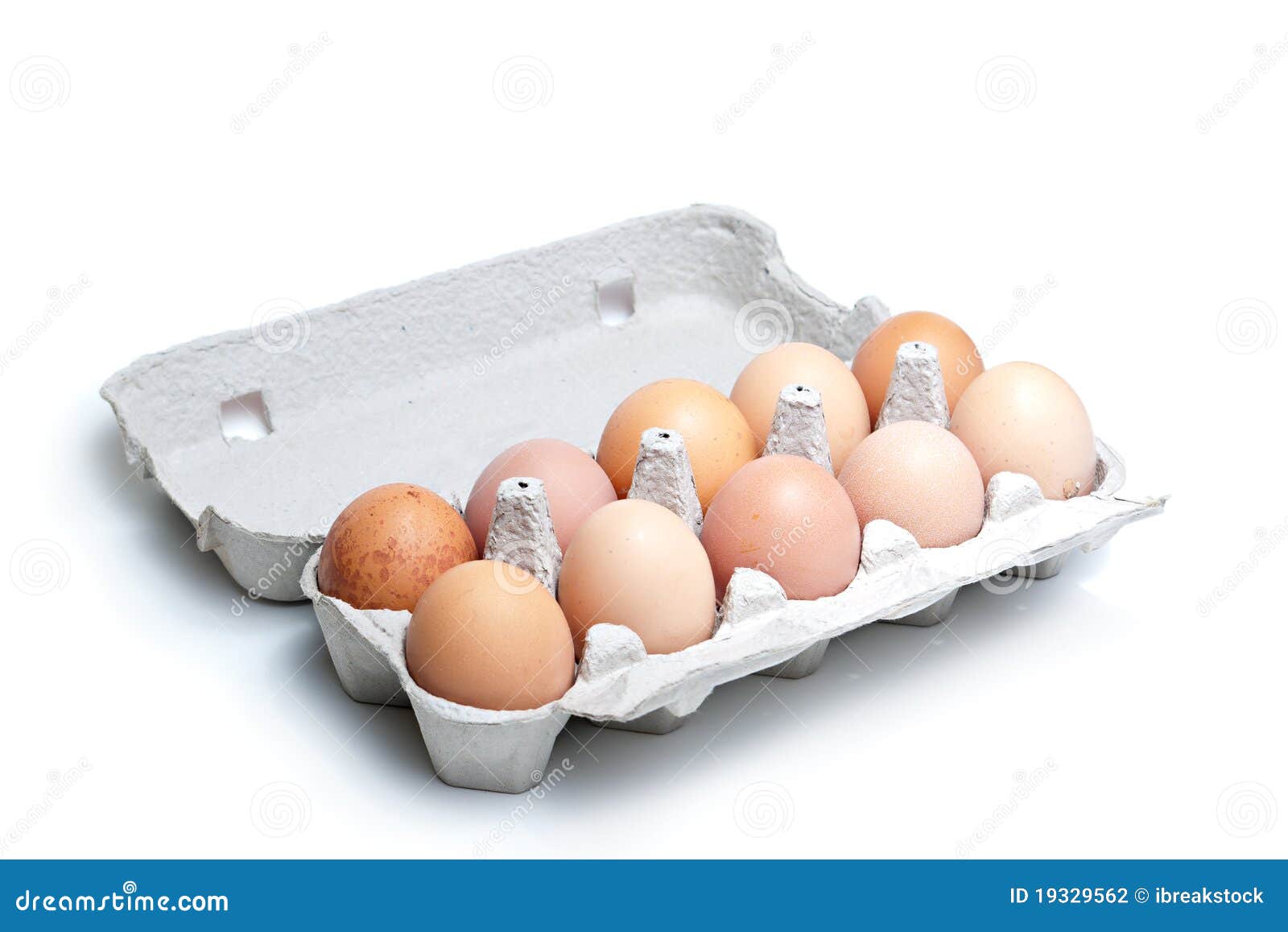 Eggs in carton stock photo. Image of traditional, twelve - 19329562