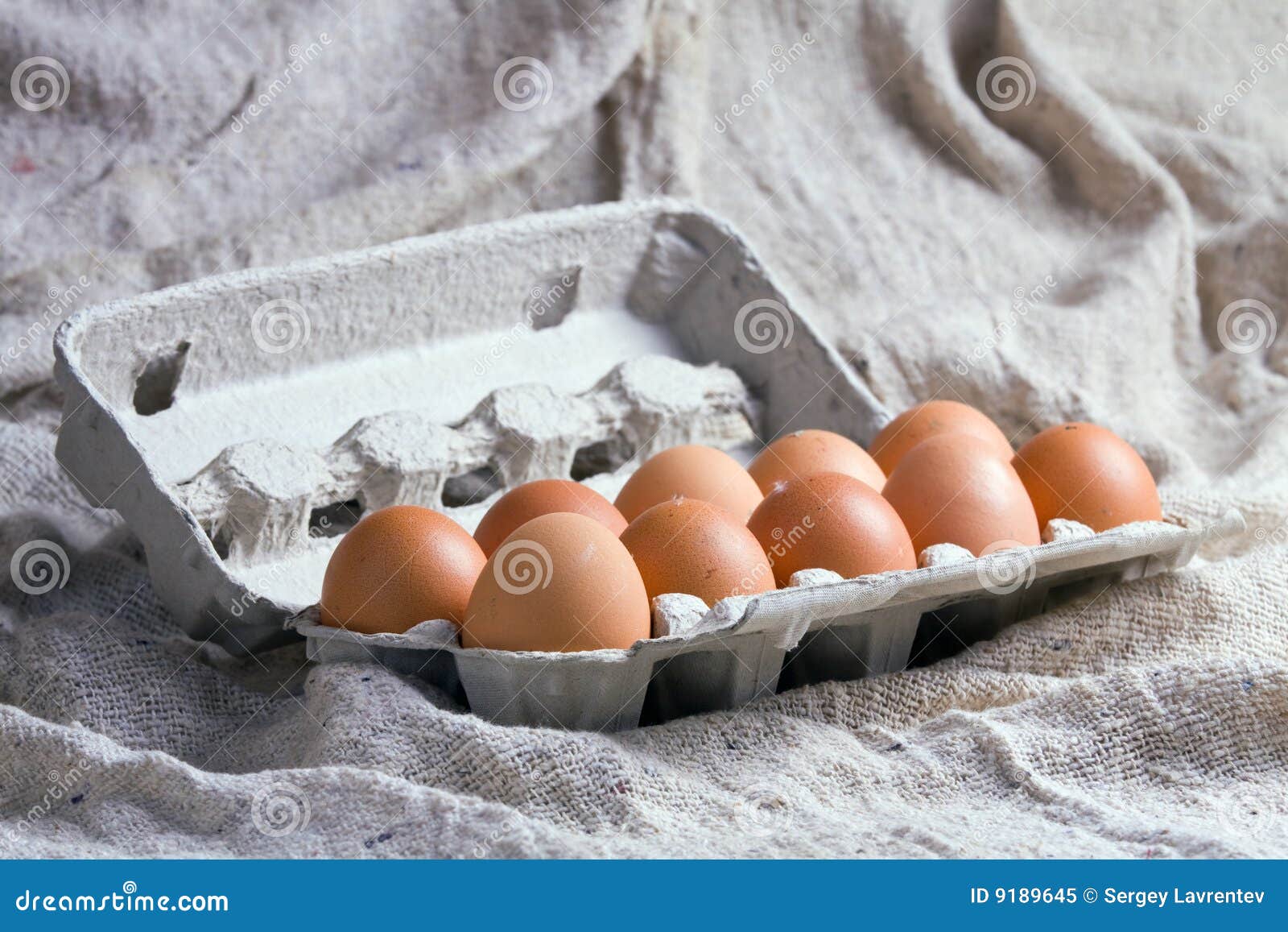 Eggs in Carton stock image. Image of carton, objects, chicken - 9189645