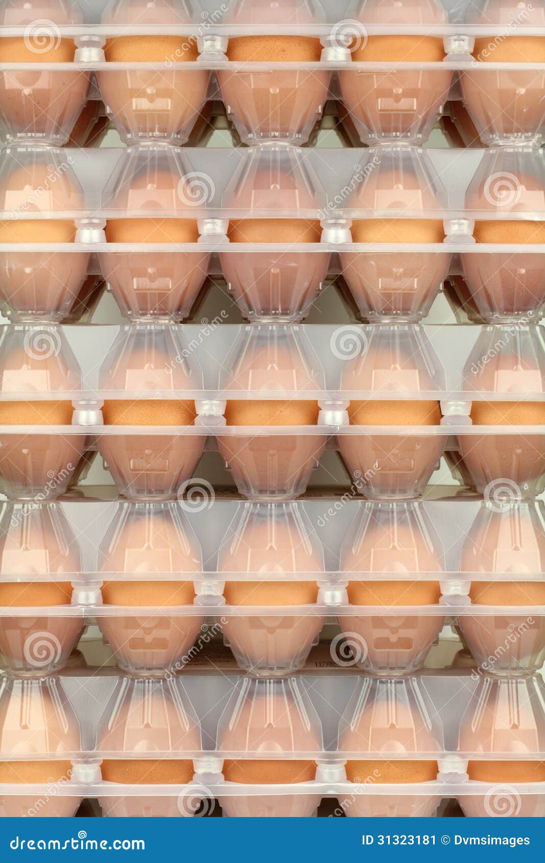 Packaged Eggs stock image. Image of stacked, protection - 31323181